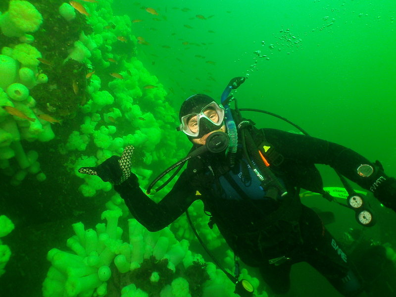 LEARN TO DIVE – Anacortes Diving