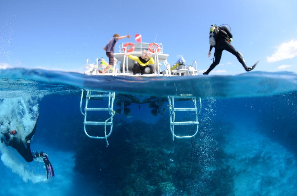 Scuba Dive Adventures: Book Now - One Spot Left!