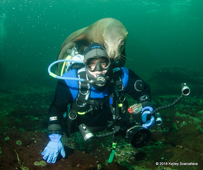 About – Anacortes Diving